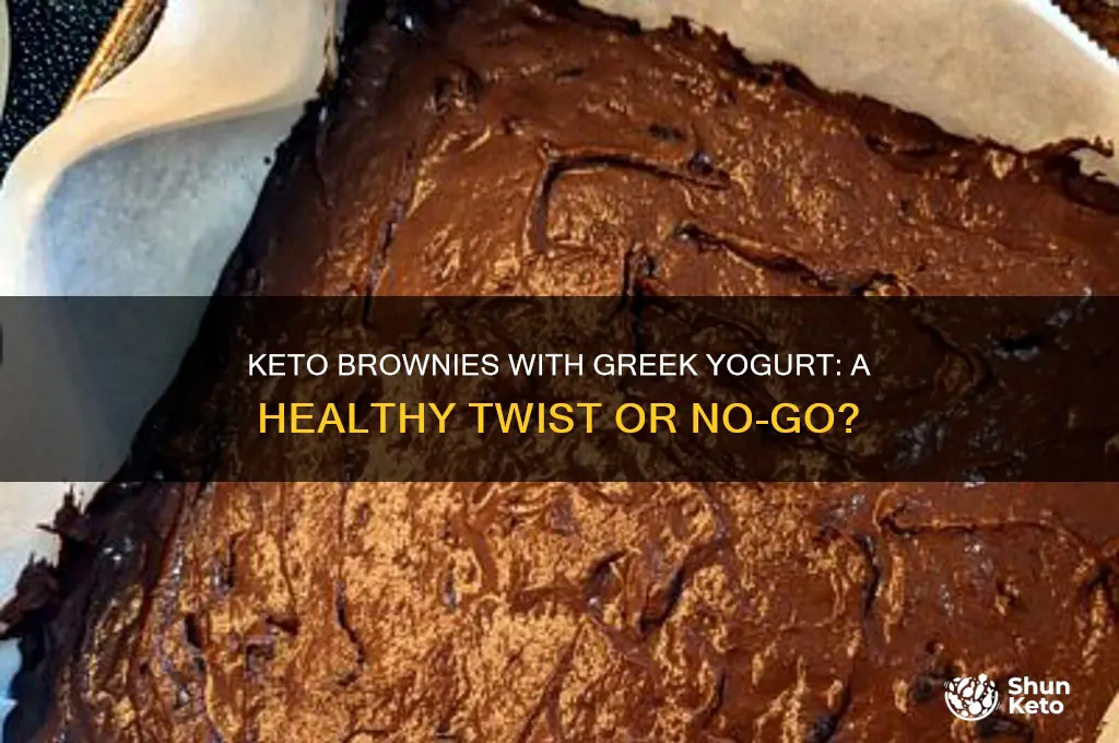 Keto Brownies With Greek Yogurt: A Healthy Twist Or No-Go? | ShunKeto