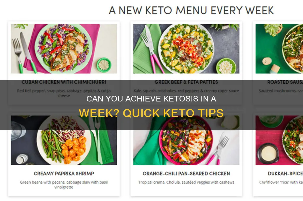 Can You Achieve Ketosis In A Week? Quick Keto Tips | ShunKeto