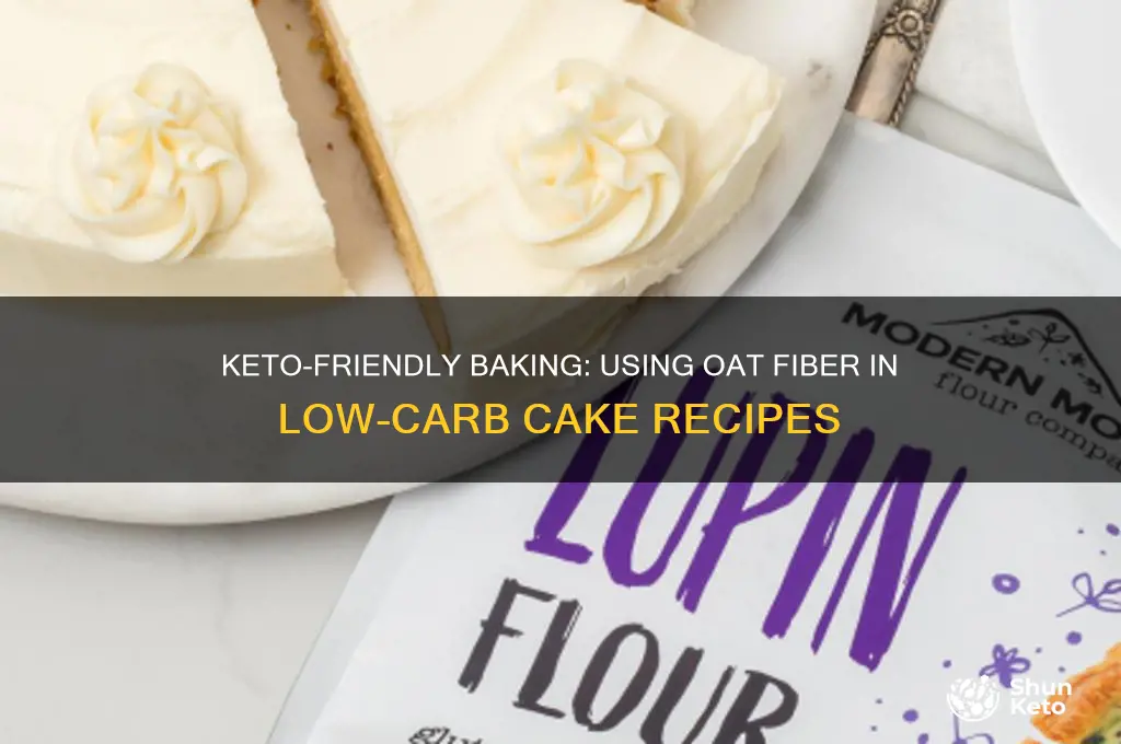 Keto-Friendly Baking: Using Oat Fiber In Low-Carb Cake Recipes | ShunKeto