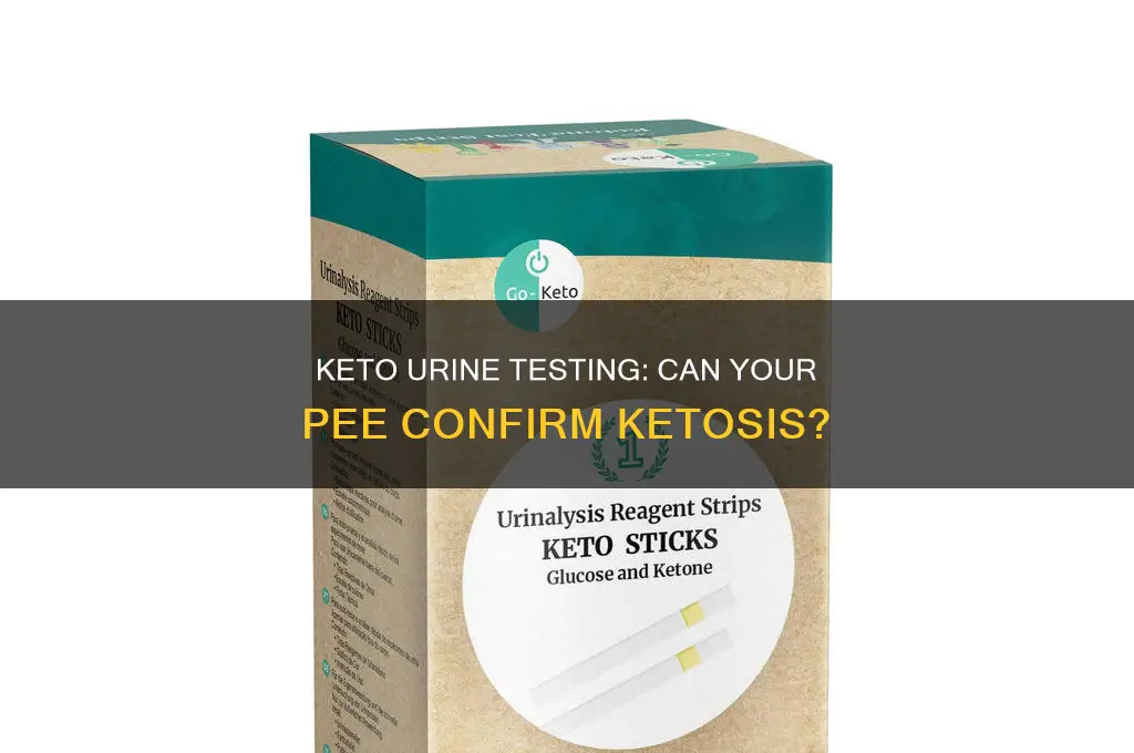 Keto Urine Testing: Can Your Pee Confirm Ketosis? | ShunKeto