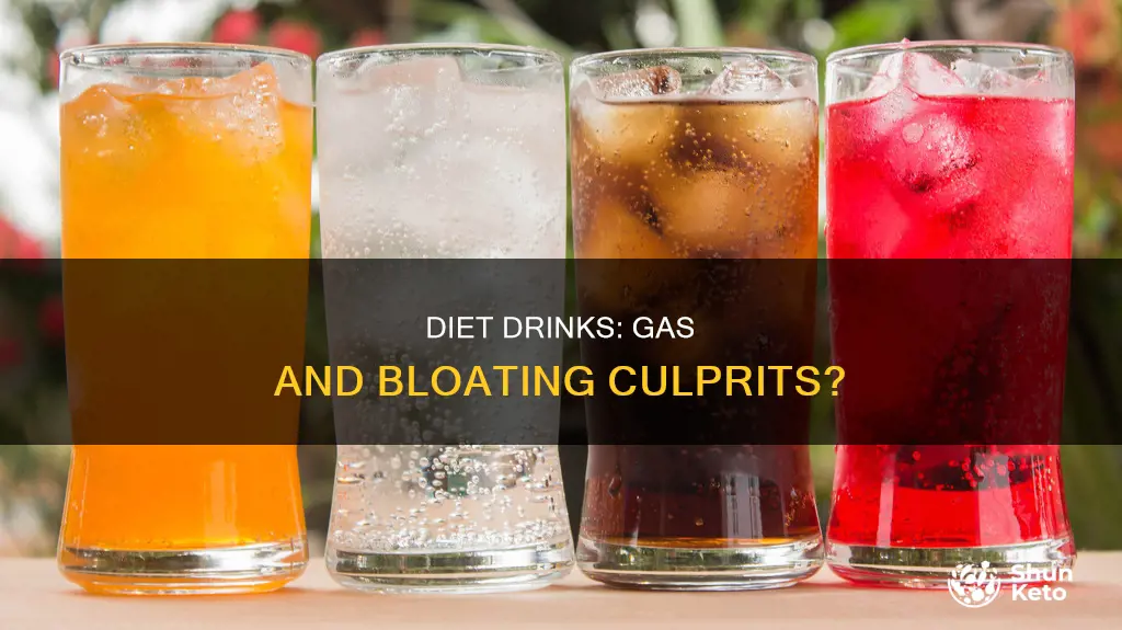 Diet Drinks: Gas And Bloating Culprits? | ShunKeto