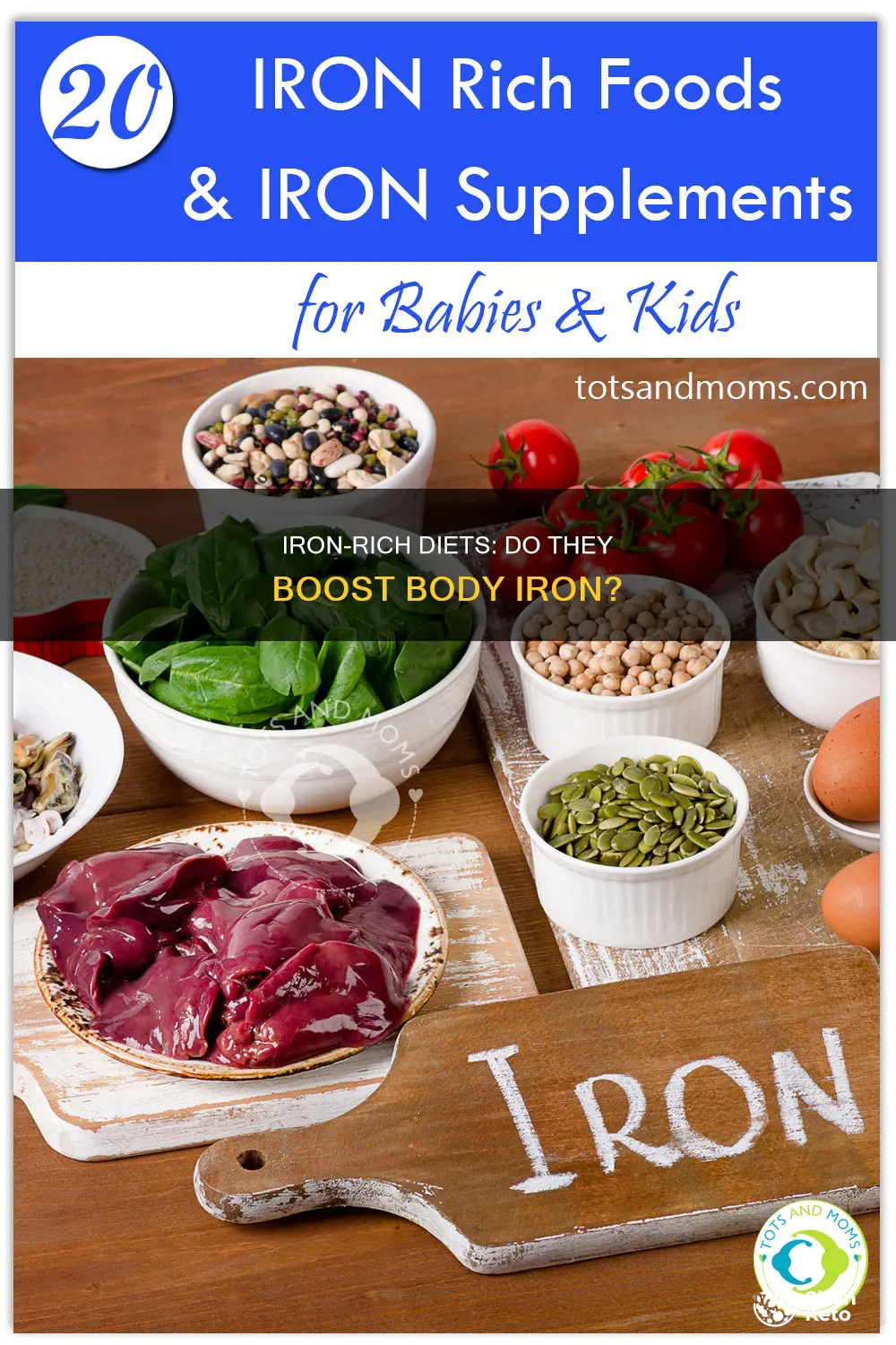 Iron-Rich Diets: Do They Boost Body Iron? | ShunKeto