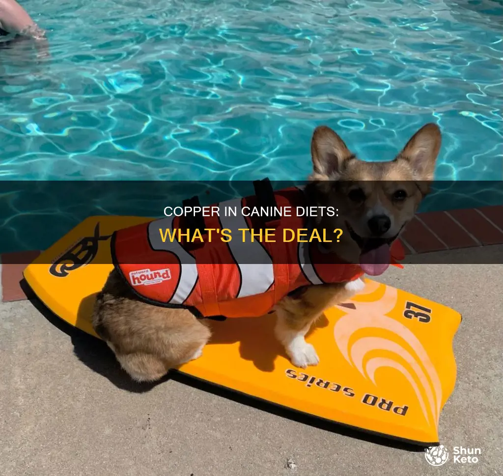 Copper In Canine Diets: What's The Deal? | ShunKeto