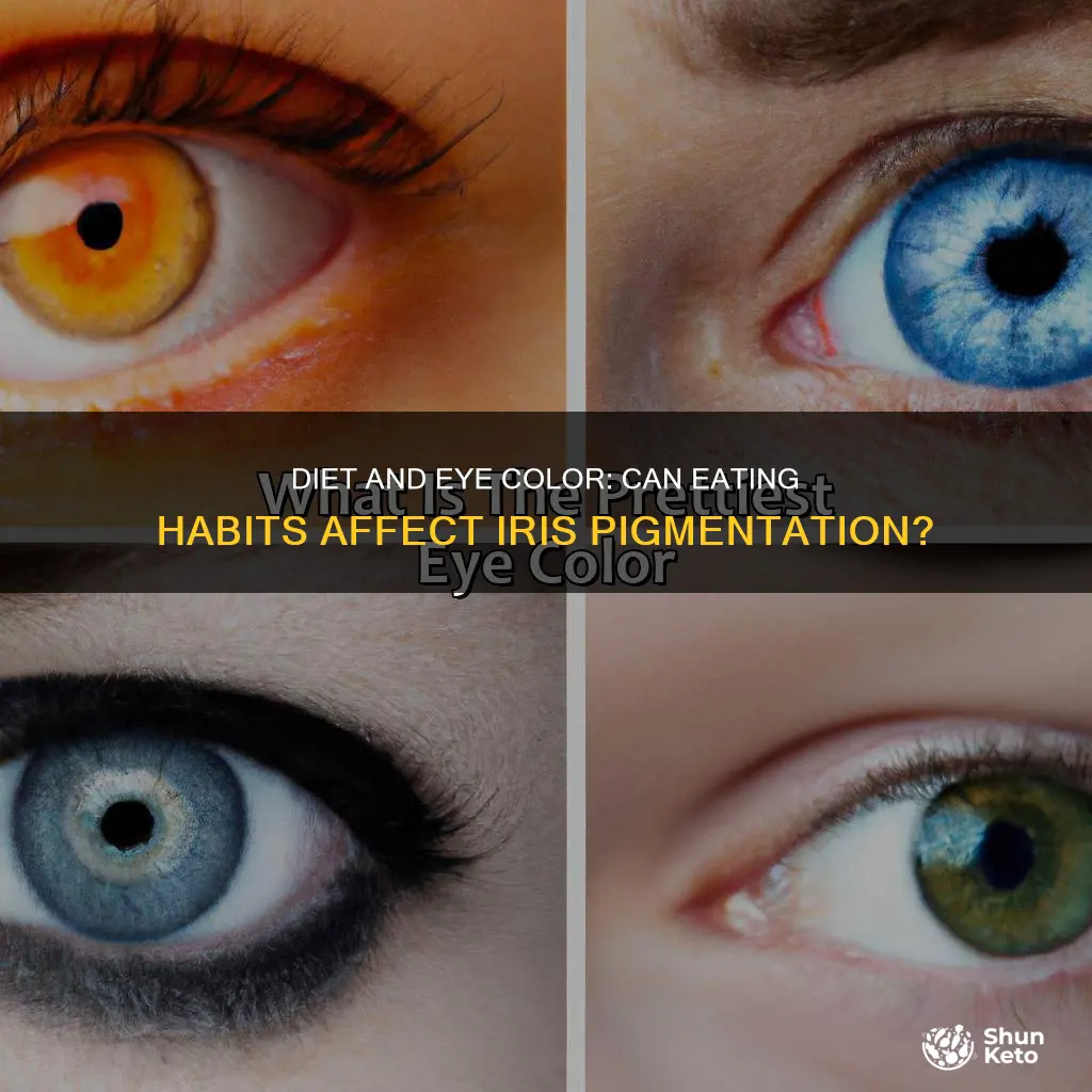 Diet And Eye Color: Can Eating Habits Affect Iris Pigmentation? | ShunKeto
