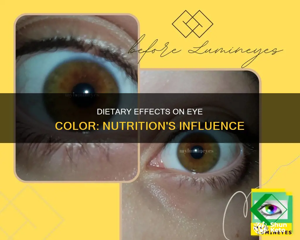 Dietary Effects On Eye Color: Nutrition's Influence | ShunKeto