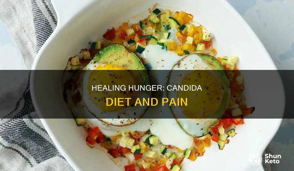 Healing Hunger: Candida Diet And Pain | ShunKeto