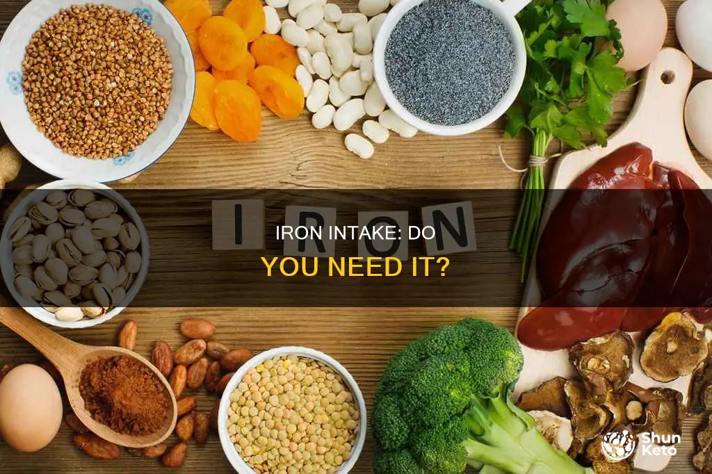 Iron Intake: Do You Need It? | ShunKeto