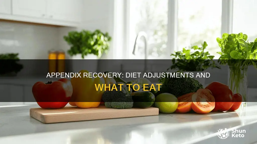 Appendix Recovery: Diet Adjustments And What To Eat | ShunKeto