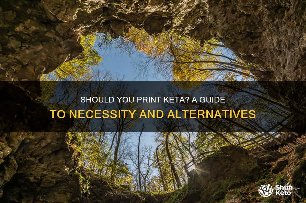 Should You Print Keta? A Guide To Necessity And Alternatives | ShunKeto