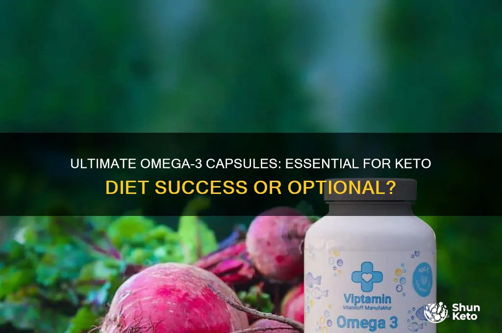 Ultimate Omega-3 Capsules: Essential For Keto Diet Success Or Optional ...