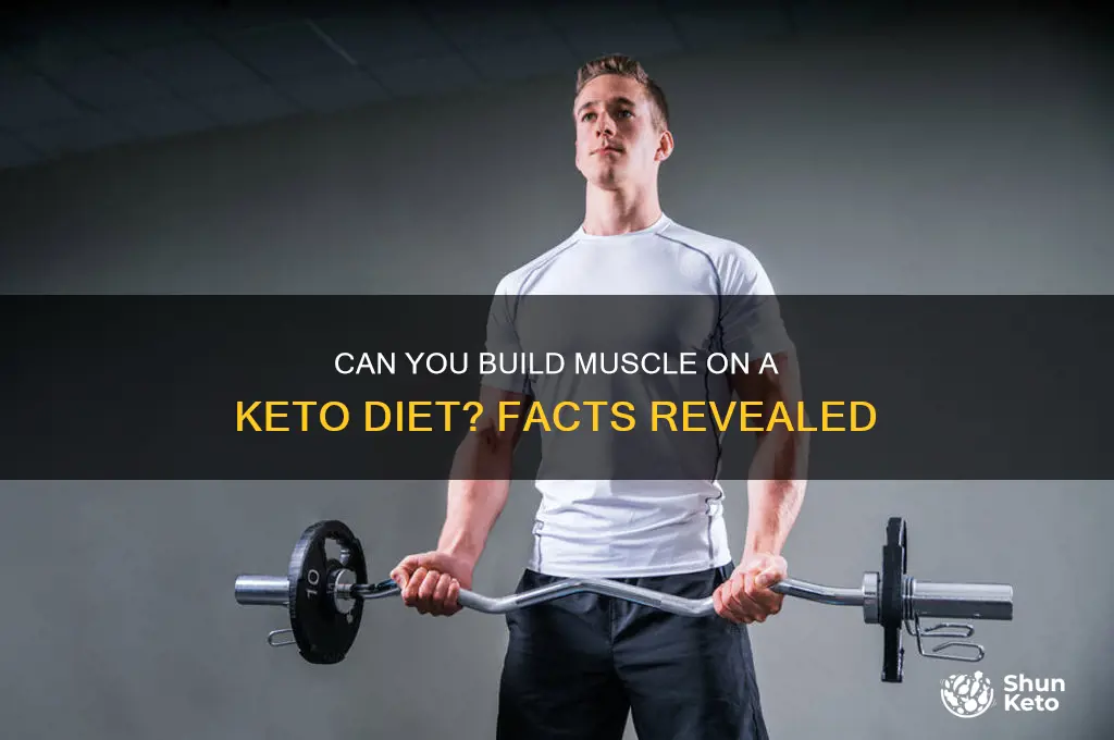 Can You Build Muscle On A Keto Diet? Facts Revealed | ShunKeto