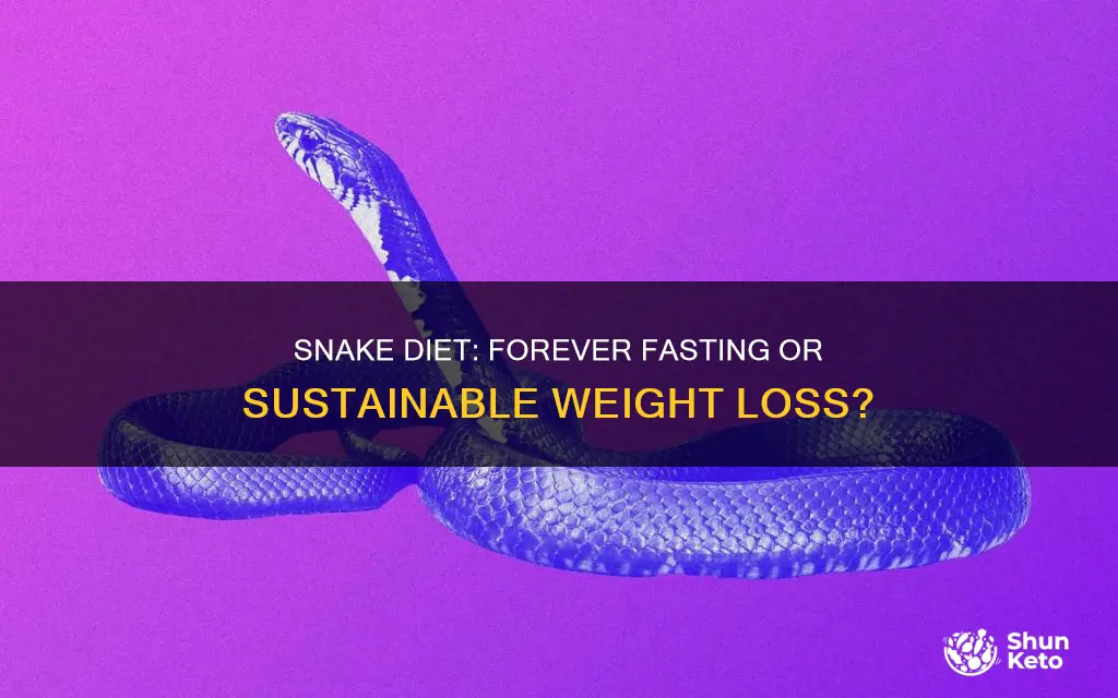 Snake Diet: Forever Fasting Or Sustainable Weight Loss? | ShunKeto