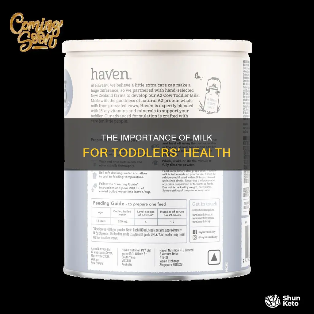 The Importance Of Milk For Toddlers' Health | ShunKeto
