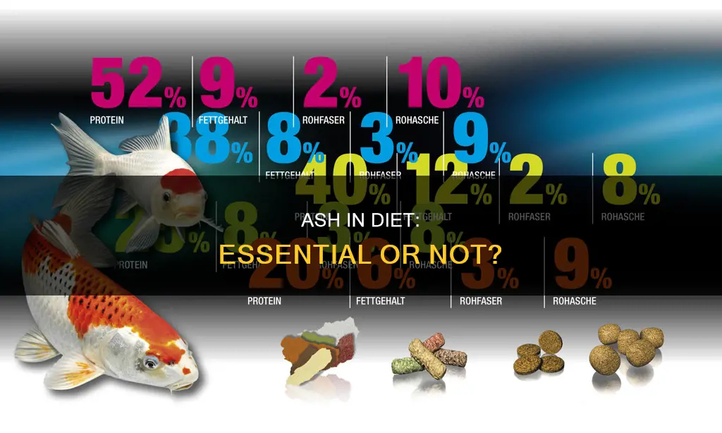 Ash In Diet: Essential Or Not? | ShunKeto