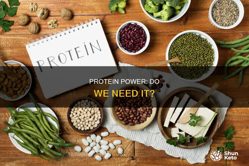 Protein Power: Do We Need It? | ShunKeto