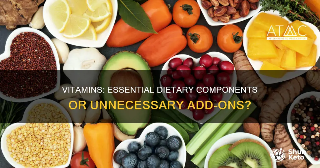 Vitamins: Essential Dietary Components Or Unnecessary Add-Ons? | ShunKeto