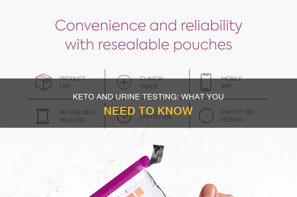 Keto And Urine Testing: What You Need To Know | ShunKeto