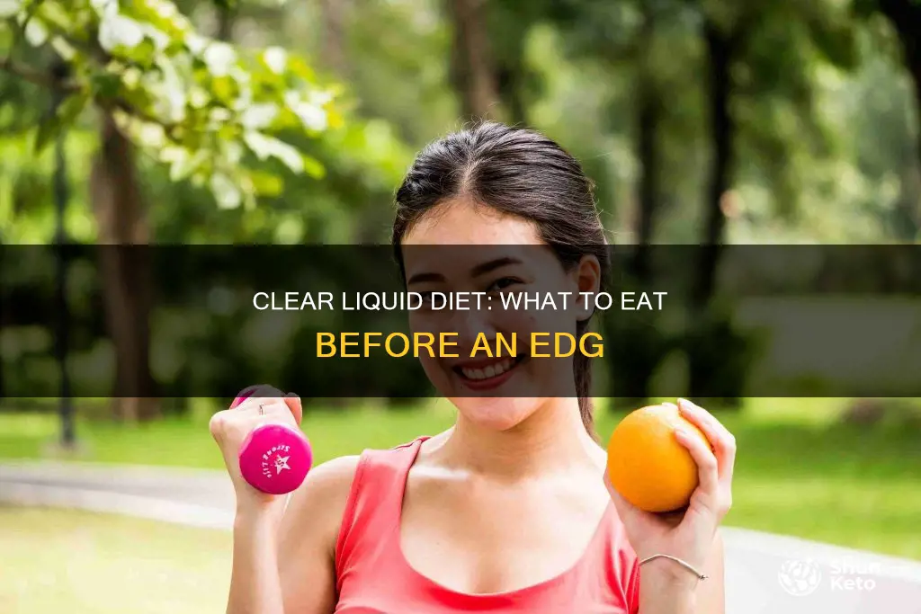 Clear Liquid Diet: What To Eat Before An Edg | ShunKeto
