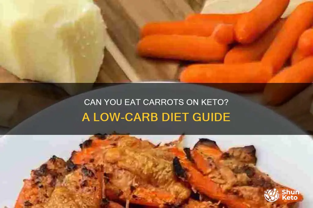 Can You Eat Carrots On Keto? A Low-Carb Diet Guide | ShunKeto