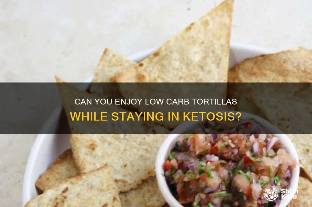 Can You Enjoy Low Carb Tortillas While Staying In Ketosis? | ShunKeto