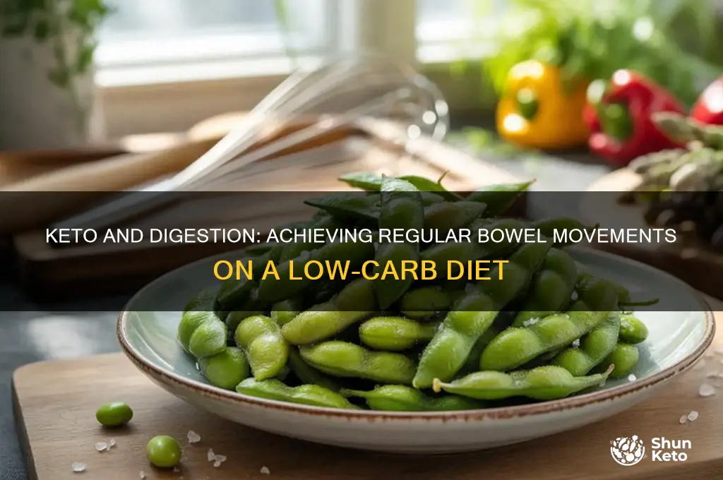 Keto And Digestion: Achieving Regular Bowel Movements On A Low-Carb ...