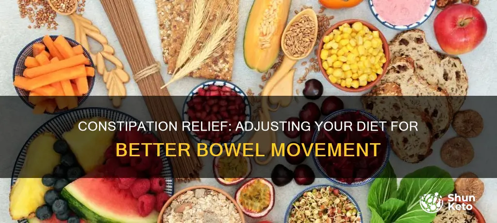 Constipation Relief: Adjusting Your Diet For Better Bowel Movement ...