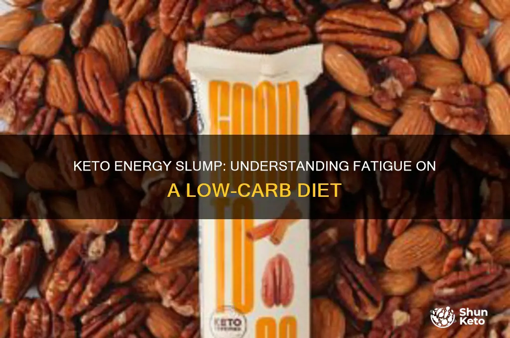 Keto Energy Slump: Understanding Fatigue On A Low-Carb Diet | ShunKeto