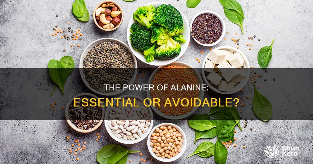 The Power Of Alanine: Essential Or Avoidable? | ShunKeto