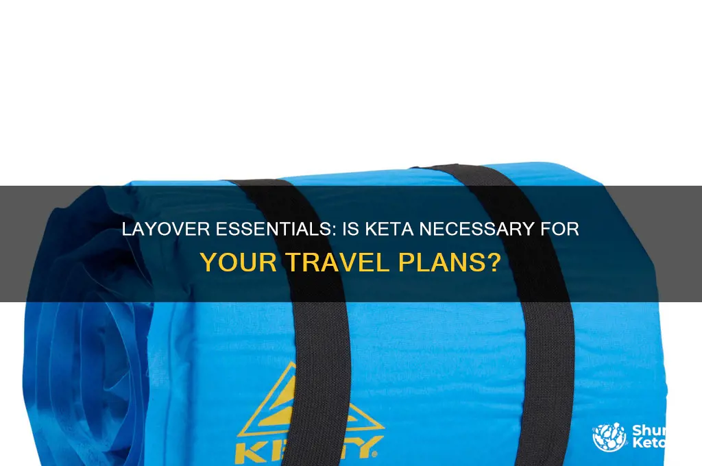 Layover Essentials: Is Keta Necessary For Your Travel Plans? | ShunKeto