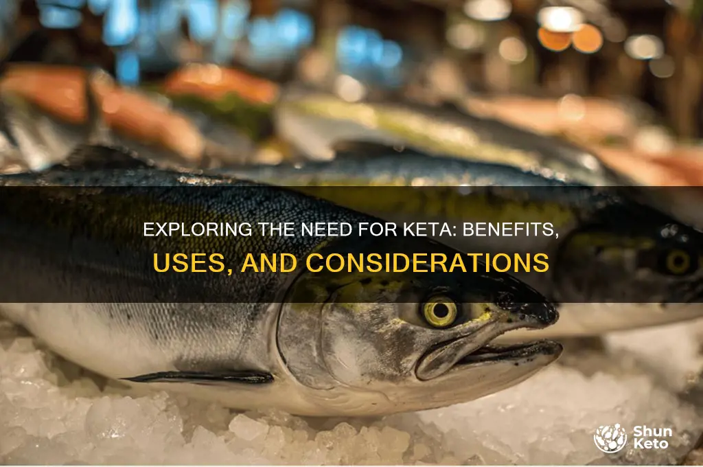Exploring The Need For Keta: Benefits, Uses, And Considerations | ShunKeto