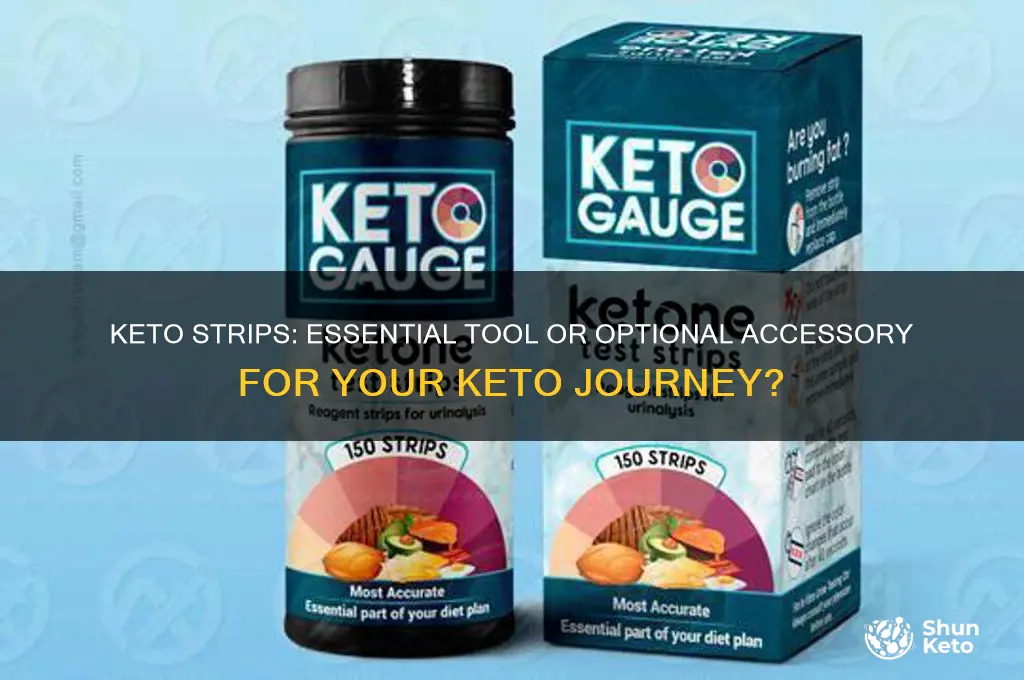 Keto Strips: Essential Tool Or Optional Accessory For Your Keto Journey ...