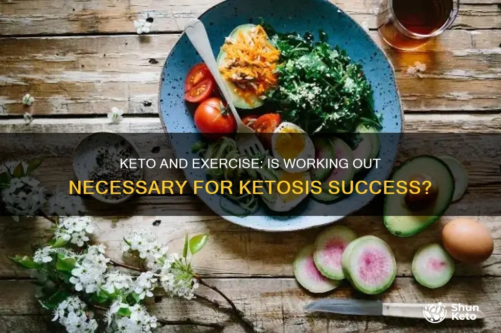 Keto And Exercise: Is Working Out Necessary For Ketosis Success? | ShunKeto