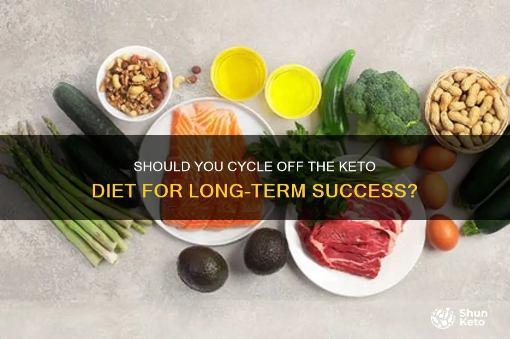 Should You Cycle Off The Keto Diet For Long-Term Success? | ShunKeto