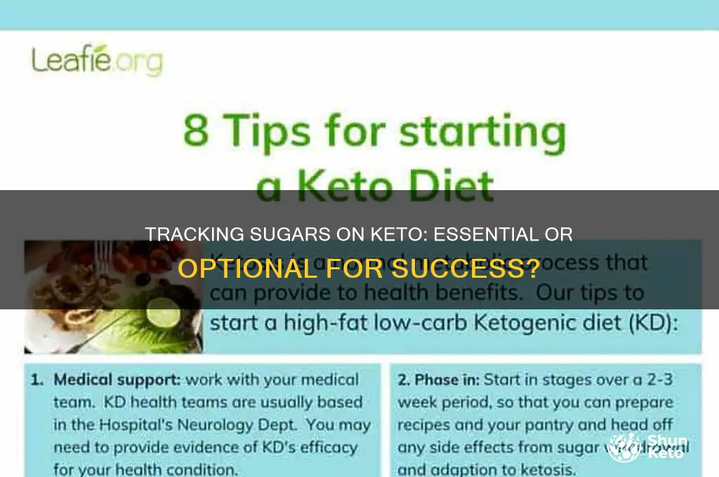 Tracking Sugars On Keto: Essential Or Optional For Success? | ShunKeto