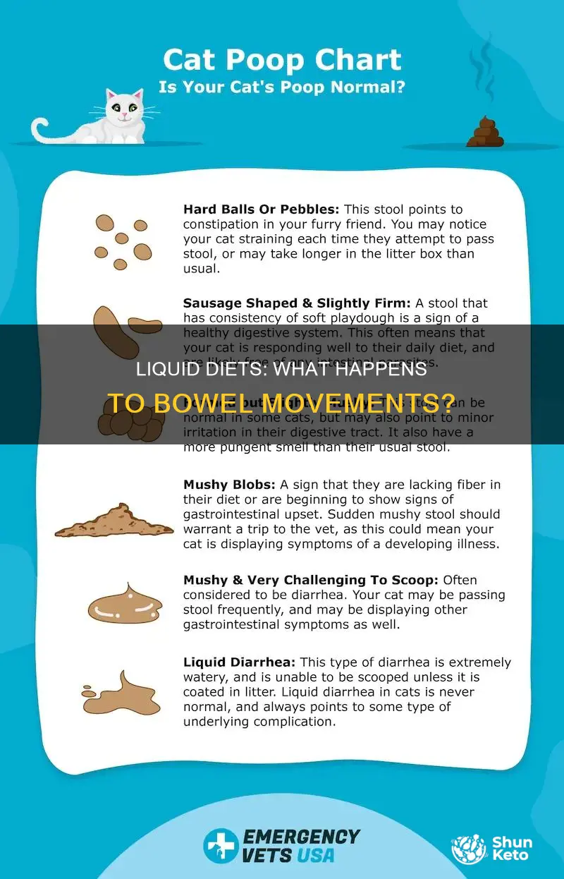 Liquid Diets: What Happens To Bowel Movements? | ShunKeto