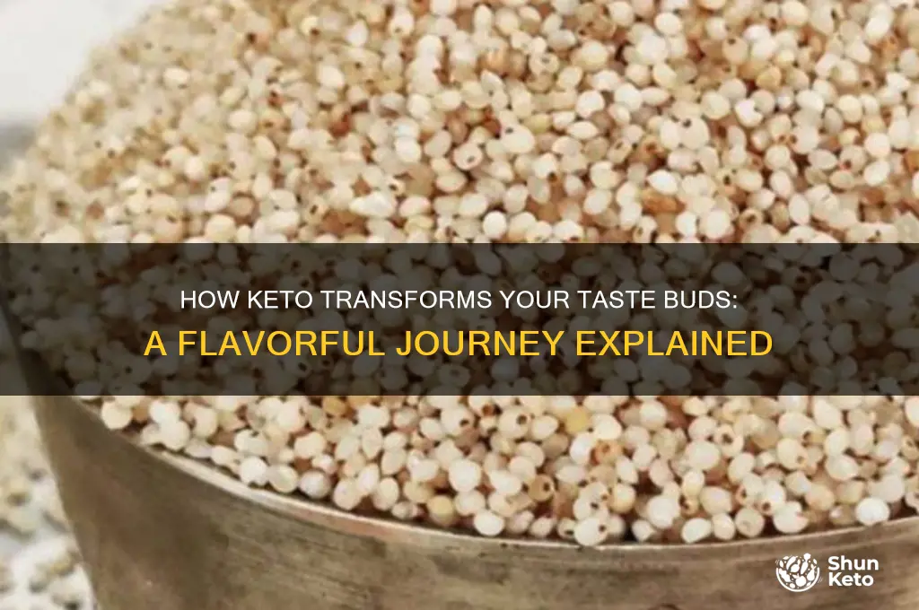 How Keto Transforms Your Taste Buds: A Flavorful Journey Explained ...