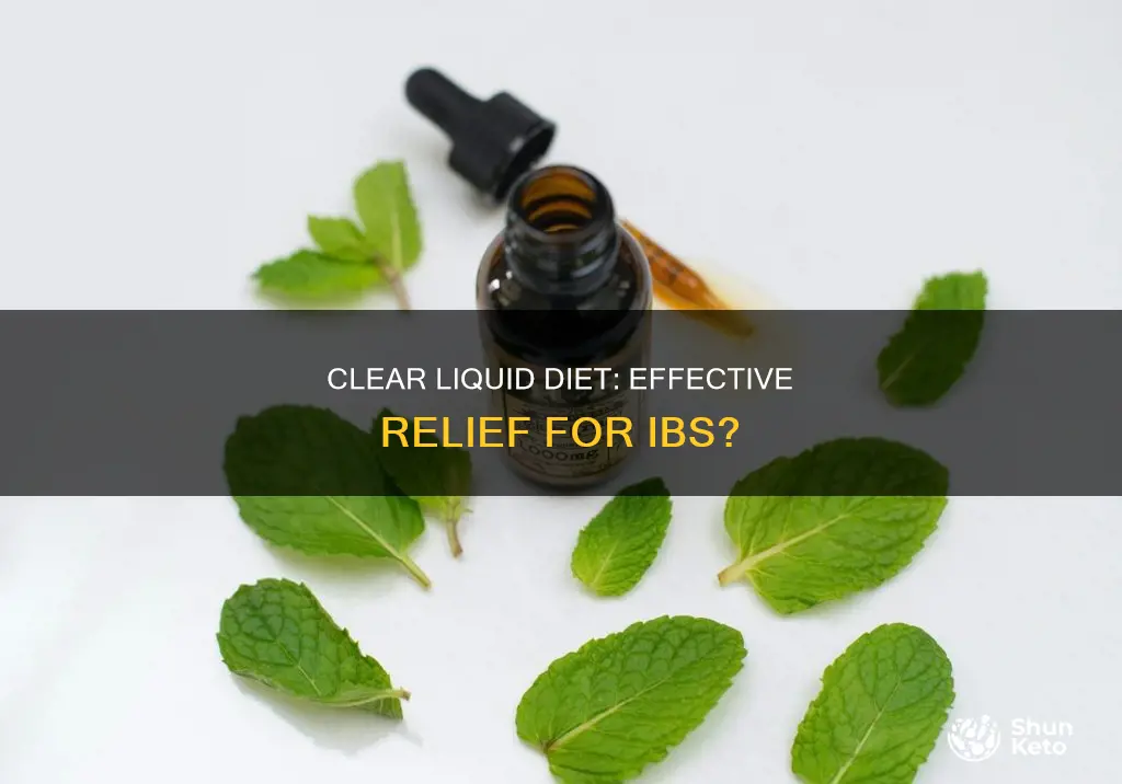 Clear Liquid Diet: Effective Relief For Ibs? | ShunKeto