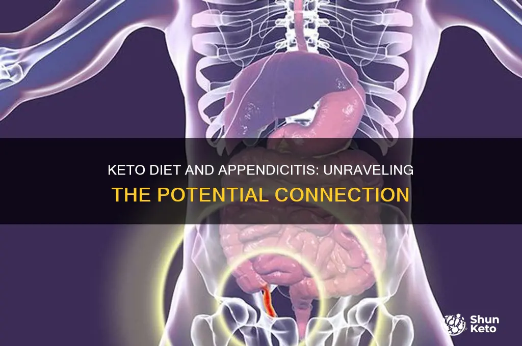 Keto Diet And Appendicitis: Unraveling The Potential Connection | ShunKeto