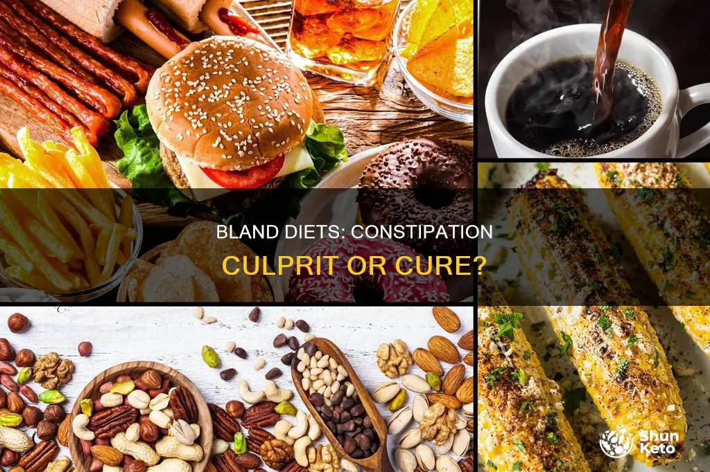 Bland Diets: Constipation Culprit Or Cure? | ShunKeto
