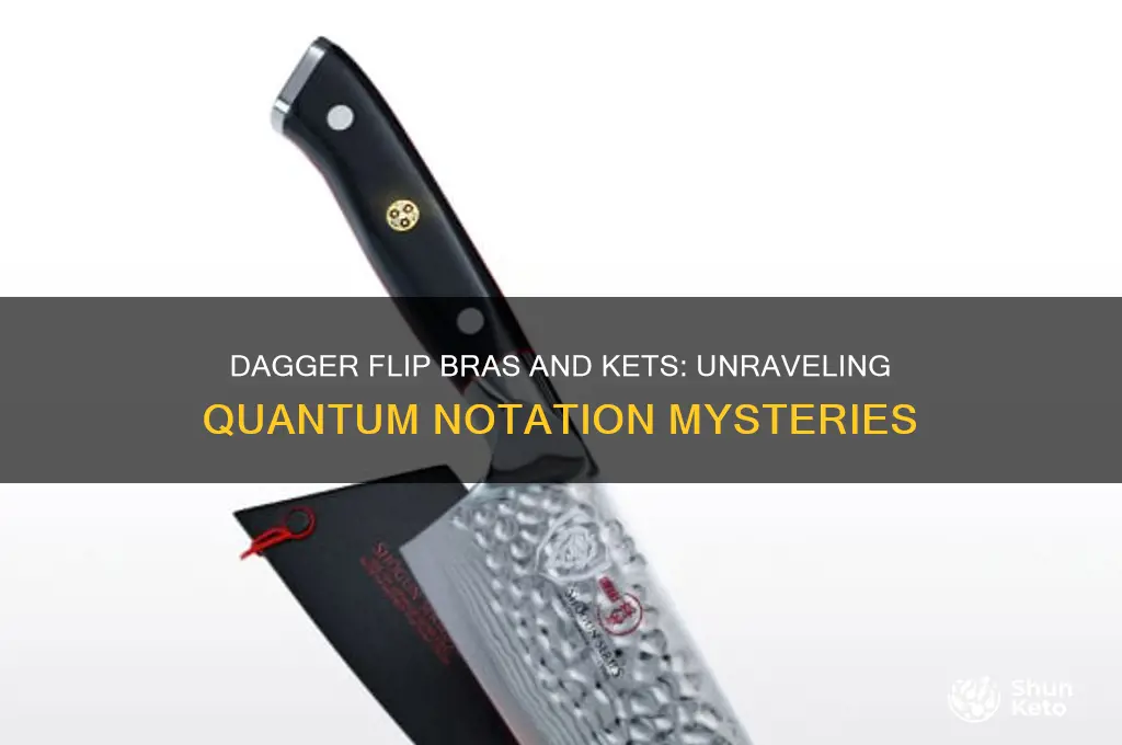 Dagger Flip Bras And Kets: Unraveling Quantum Notation Mysteries | ShunKeto