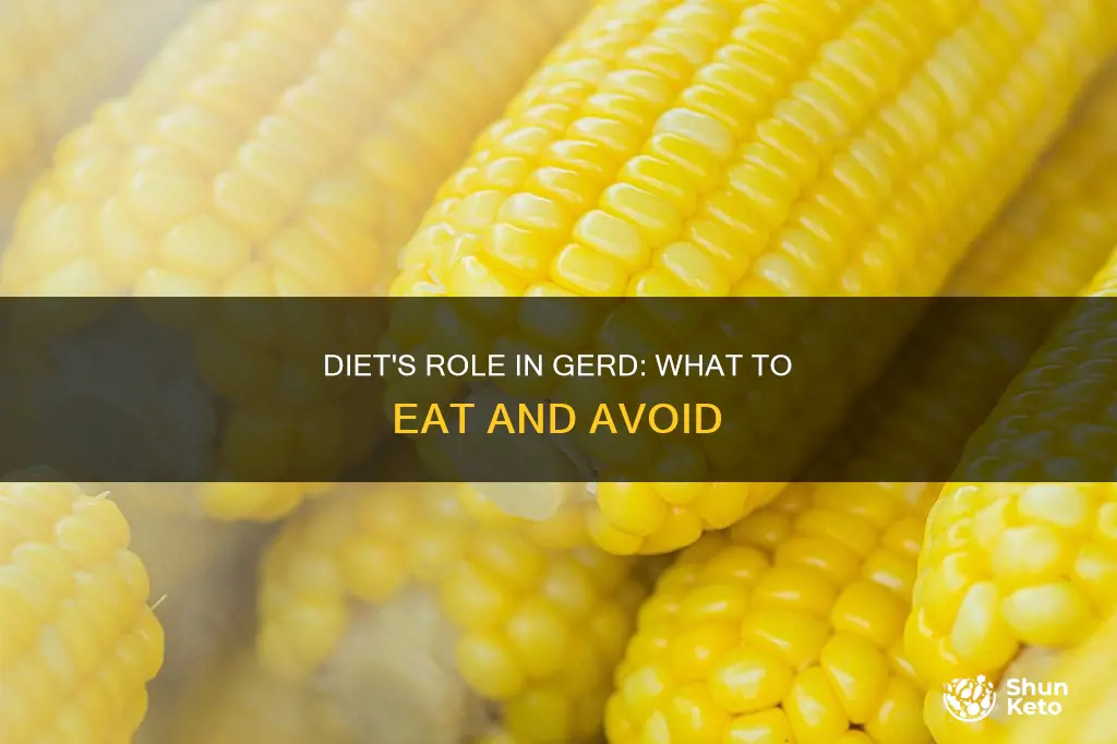 Diet's Role In Gerd: What To Eat And Avoid | ShunKeto