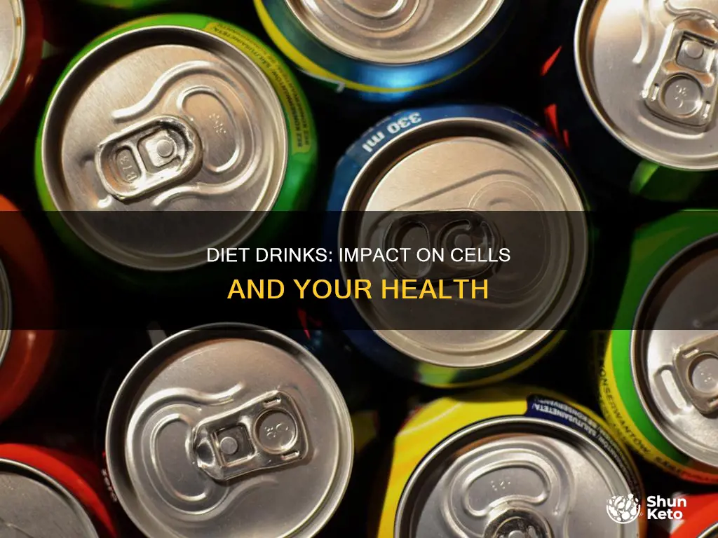Diet Drinks: Impact On Cells And Your Health | ShunKeto