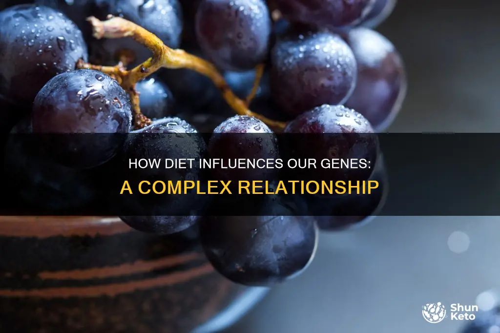 How Diet Influences Our Genes: A Complex Relationship | ShunKeto