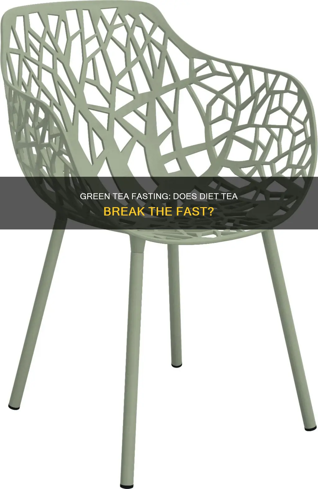 Green Tea Fasting: Does Diet Tea Break The Fast? | ShunKeto