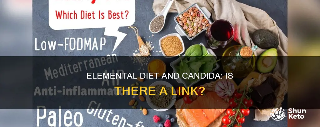 Elemental Diet And Candida: Is There A Link? | ShunKeto