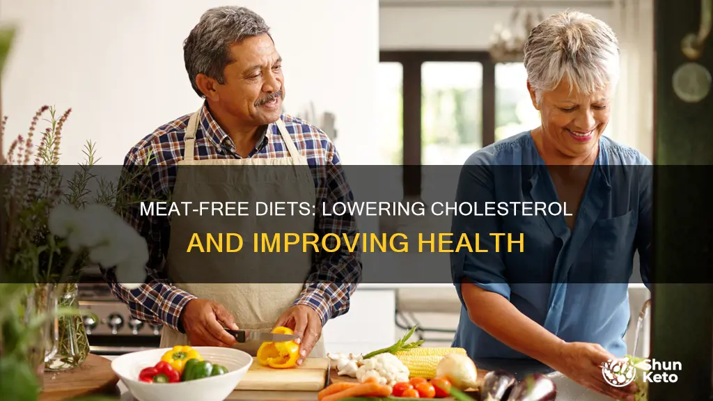 Meat-Free Diets: Lowering Cholesterol And Improving Health | ShunKeto