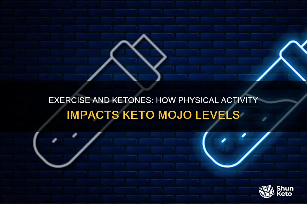 Exercise And Ketones: How Physical Activity Impacts Keto Mojo Levels ...