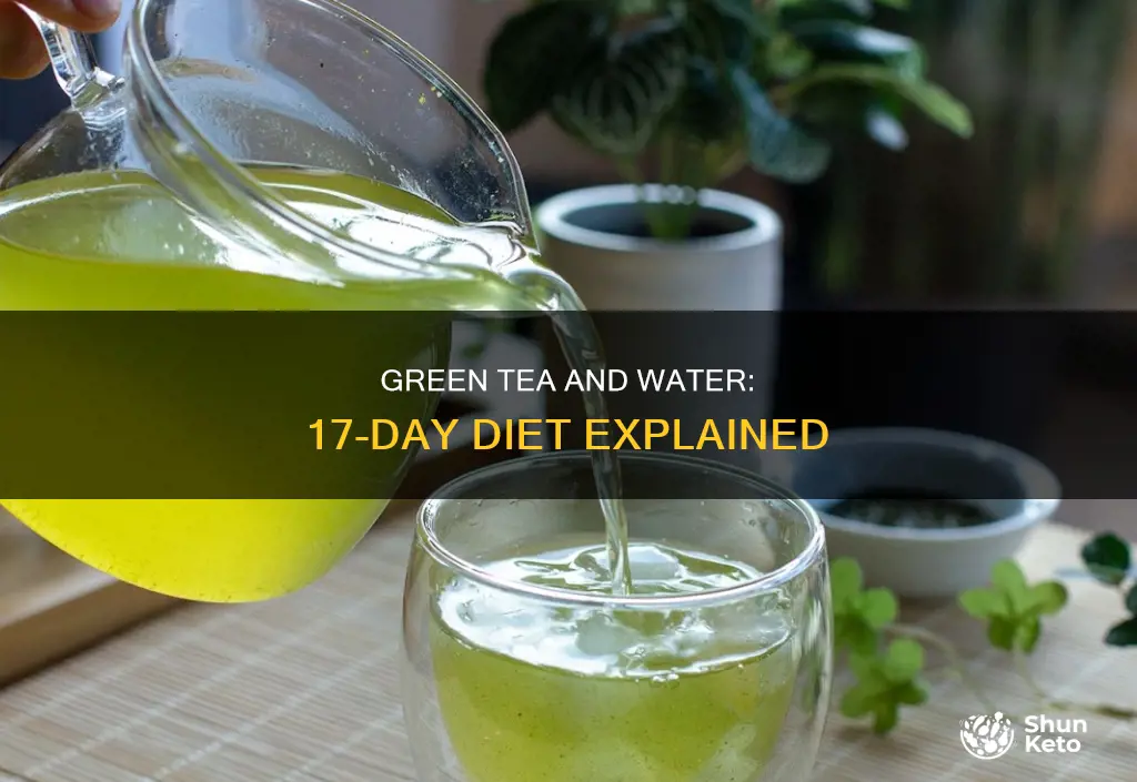 Green Tea And Water: 17-Day Diet Explained | ShunKeto