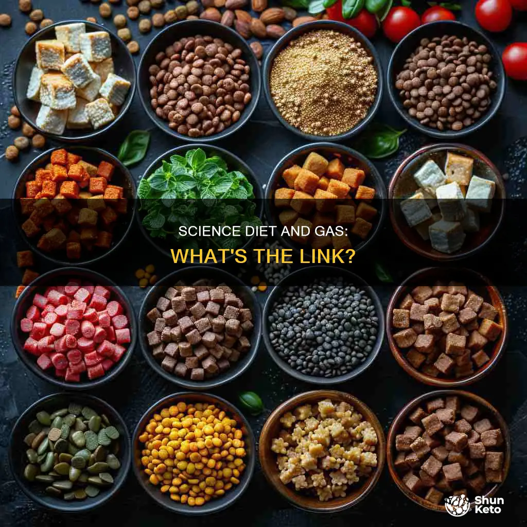 Science Diet And Gas: What's The Link? | ShunKeto
