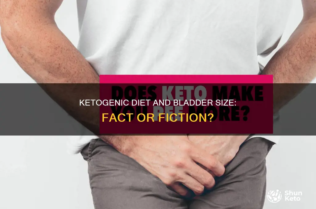 Ketogenic Diet And Bladder Size: Fact Or Fiction? | ShunKeto